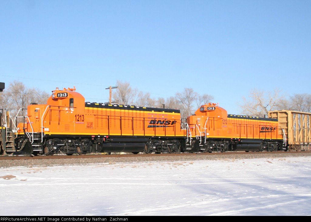 New Green Goats bound for Texas on the DENAMA19